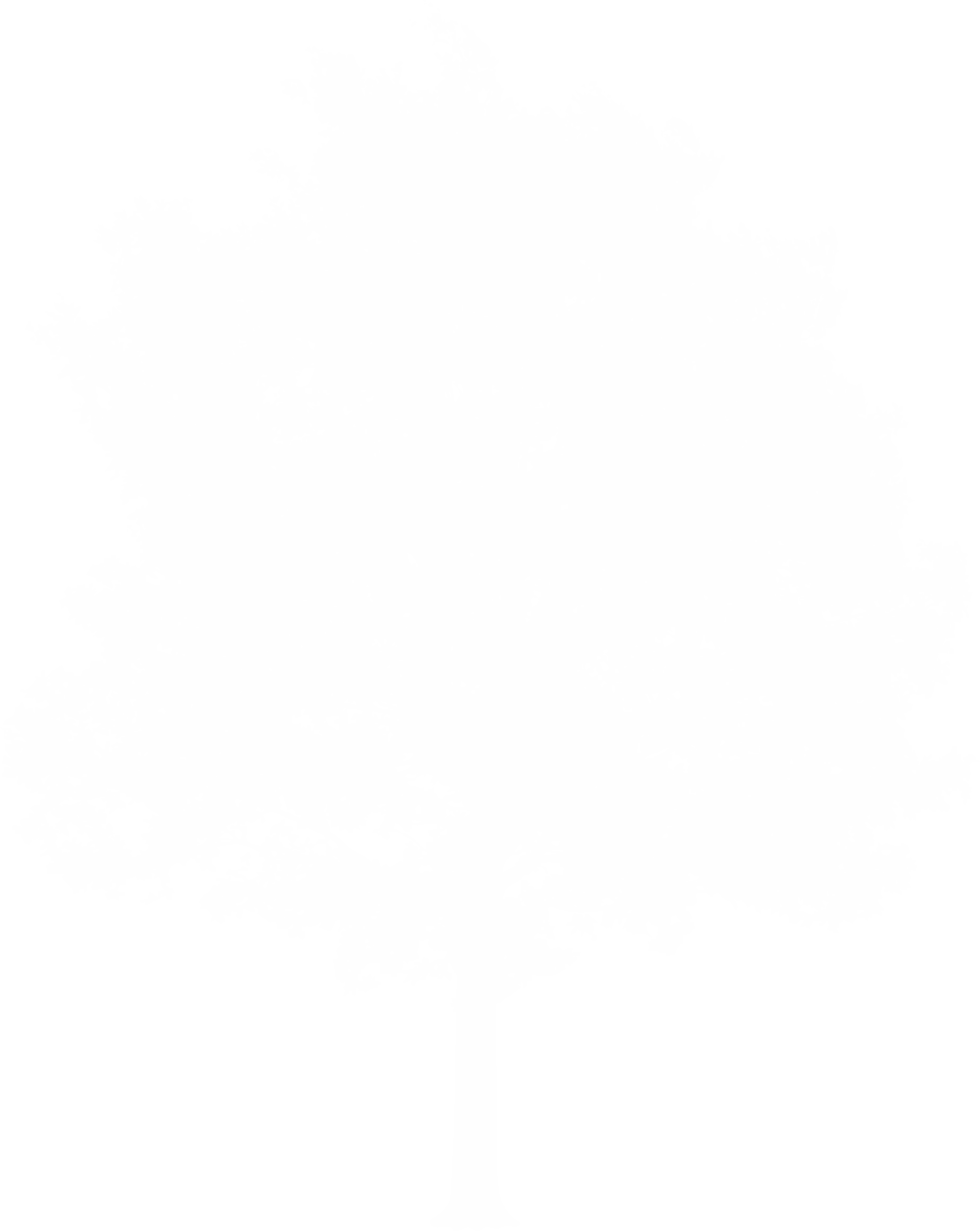 Download HD White Tree Png Transparent PNG Image - NicePNG.com