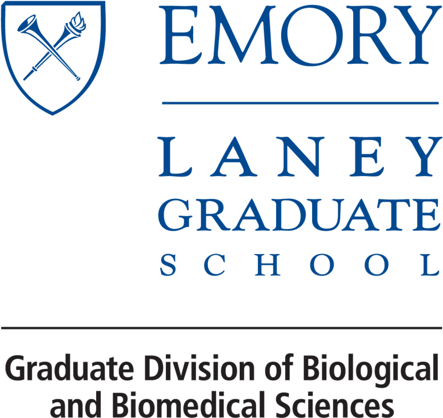 Download HD Hitler Hair Png Transparent PNG Image - NicePNG.com