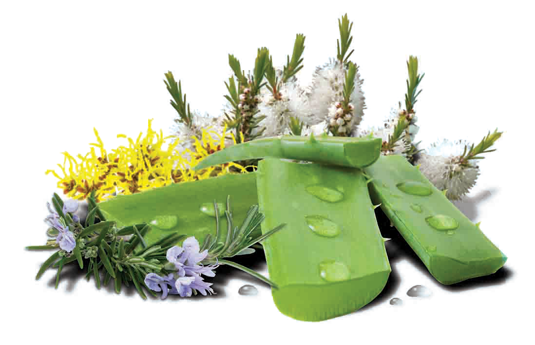 Download HD Ingredients Png Transparent PNG Image - NicePNG.com
