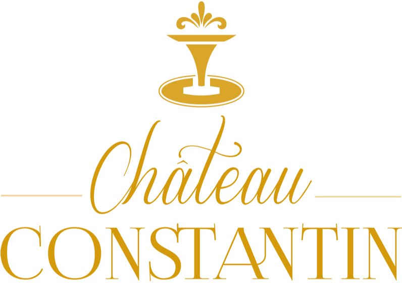 Download HD Logo Constantin - Logo Transparent PNG Image - NicePNG.com