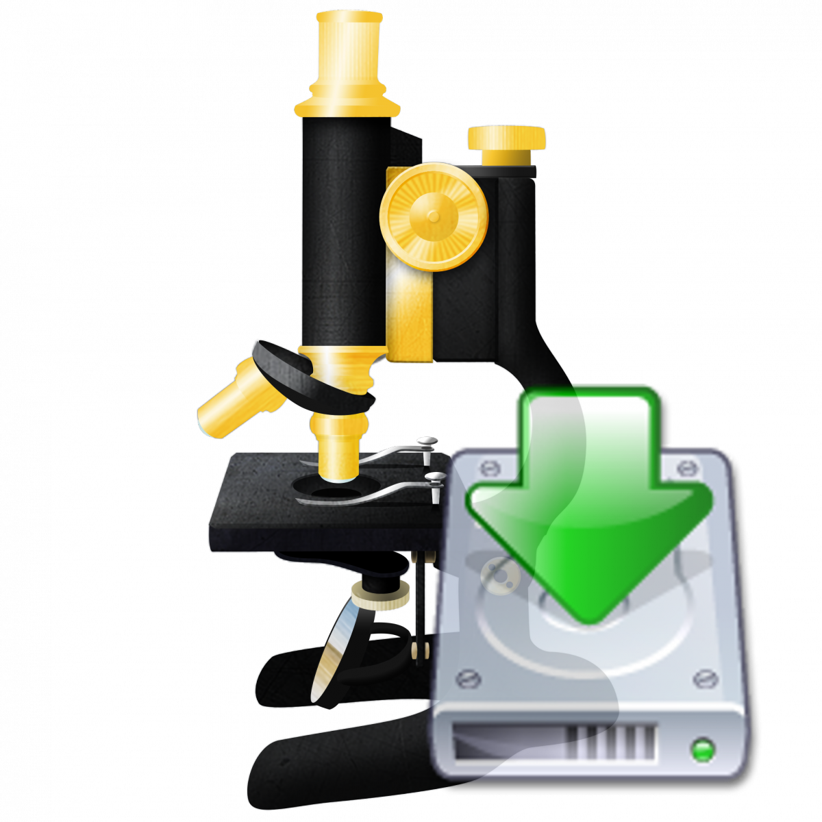 Download 1200px Imagej2 Download Icon - Imagej - HD Transparent PNG ...