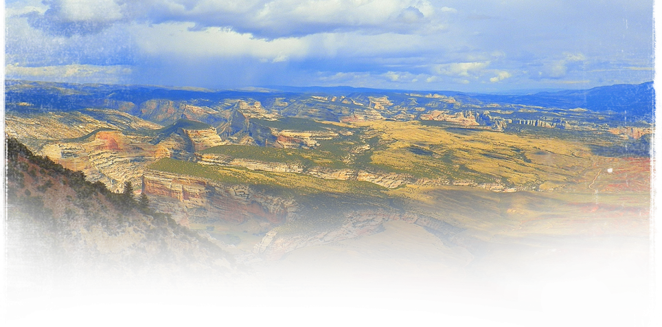 Download HD Young Life Logo Png Transparent PNG Image - NicePNG.com