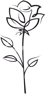 Download Rose Outline Rose Flower Outline Icons By Canva Png - Rose ...