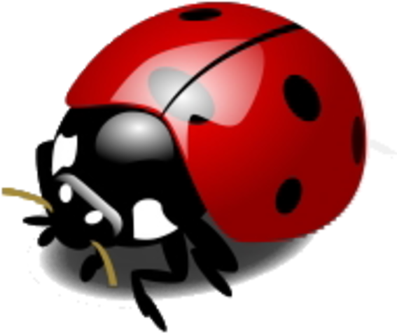 Download Ladybug Transparent Picture - Lady Bird Clipart Png - HD ...