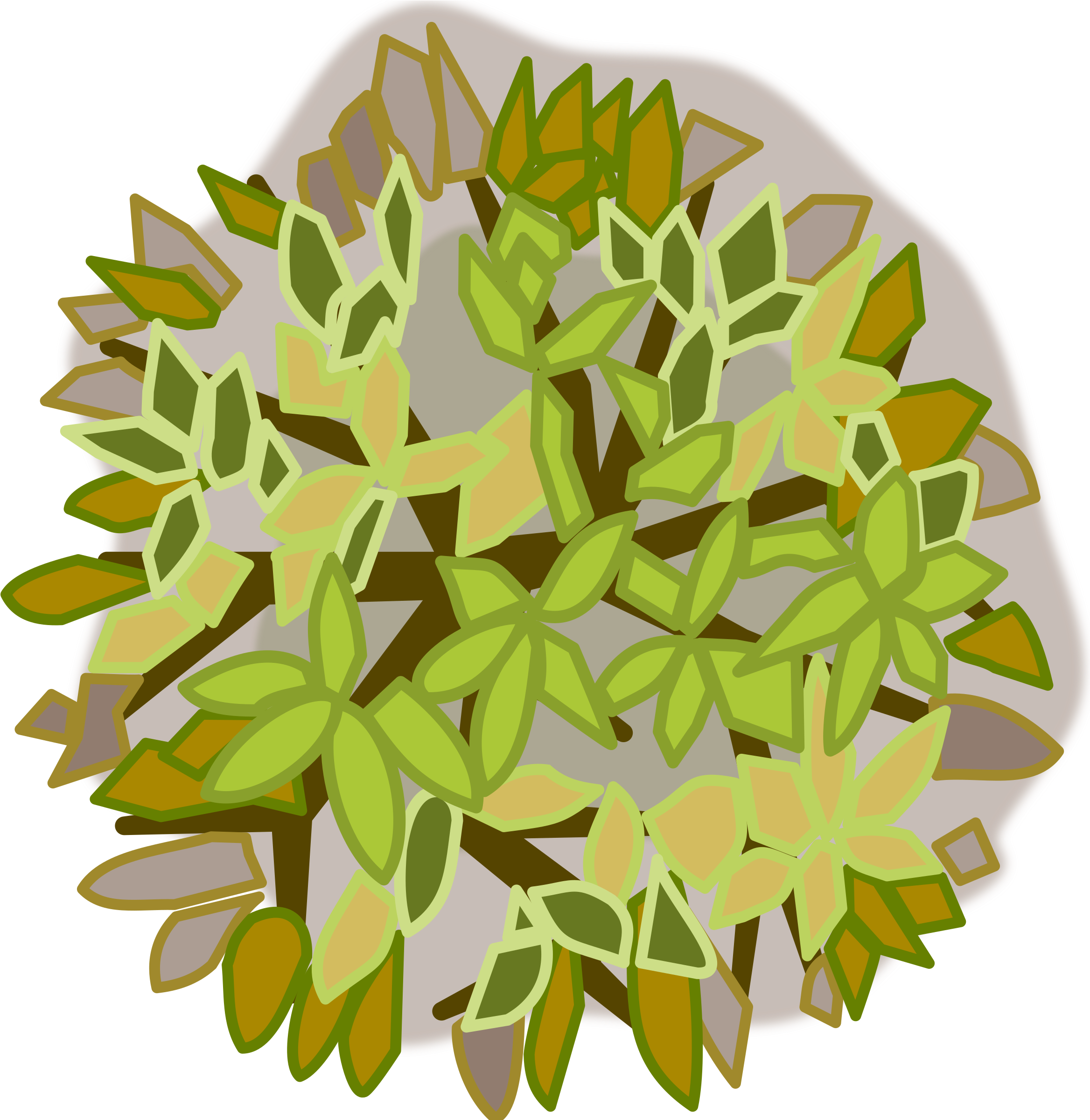 Download This Free Icons Png Design Of Tree Top View - HD Transparent ...