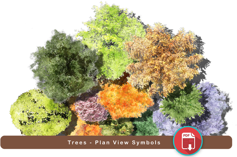 Download Plan Trees - HD Transparent PNG - NicePNG.com