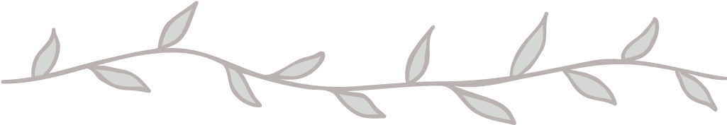 Download Simple Arrow Decorative Divider - HD Transparent PNG - NicePNG.com