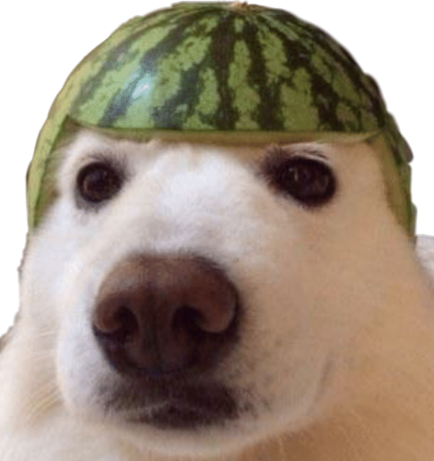 Download Dank Meme Dankememe Dankmemes Yeet Dog Watermelon Doggo - Dog ...