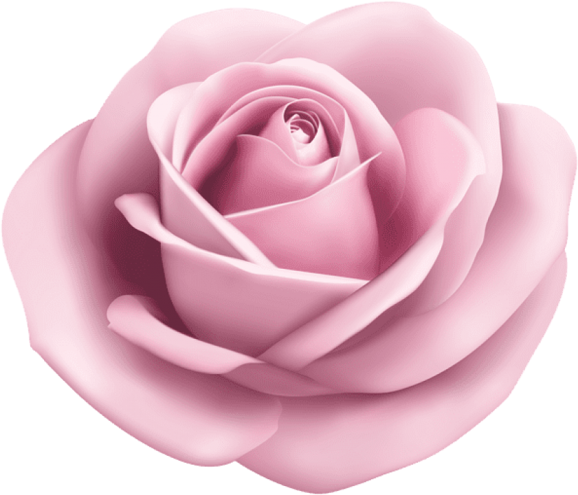 Download Free Png Rose Soft Pink Transparent Png Images Transparent ...