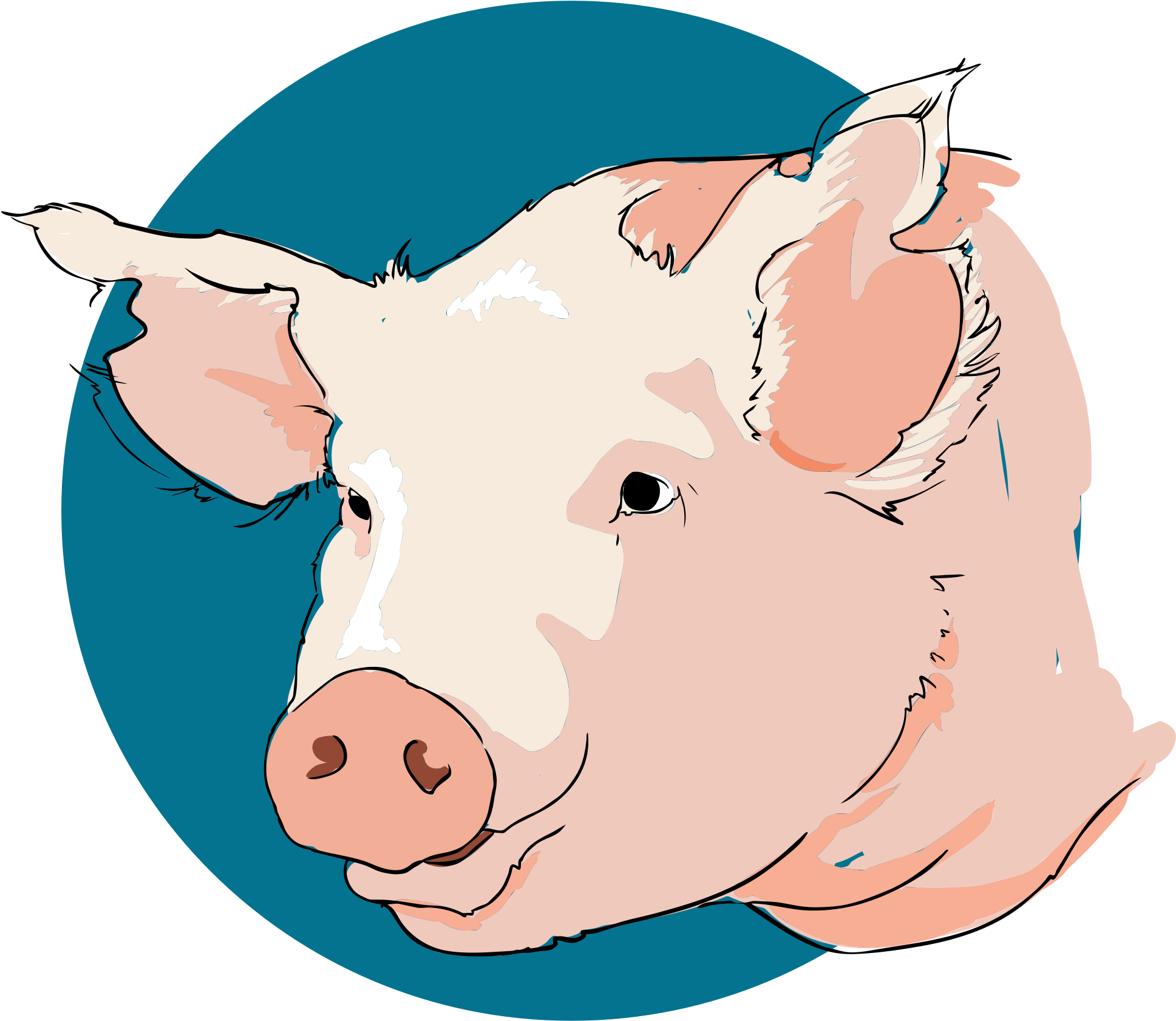 Download HD Open - Cabeza De Cerdo Animal Transparent PNG Image ...