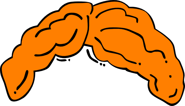 Download HD Wig - Hair - Cartoon Wig Transparent PNG Image - NicePNG.com