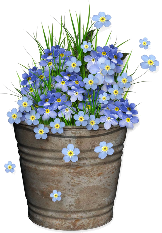 Download HD Forget Me Not Logo Png Transparent PNG Image - NicePNG.com