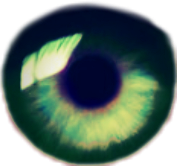 Download Eye - HD Transparent PNG - NicePNG.com