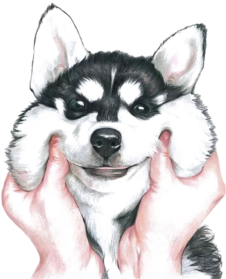 Download HD Dog Drawing Transparent PNG Image - NicePNG.com