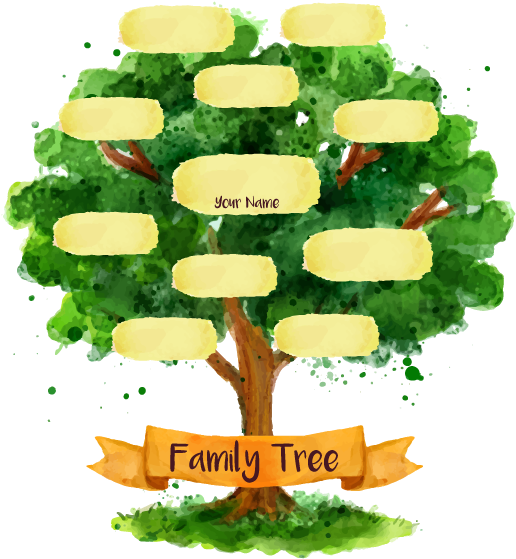 Download Spiritual Family Tree - Illustration - HD Transparent PNG ...