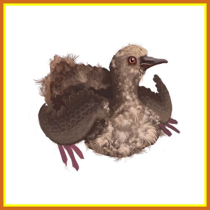 Download HD Bird Poop Png - Pigeons And Doves Transparent PNG Image ...
