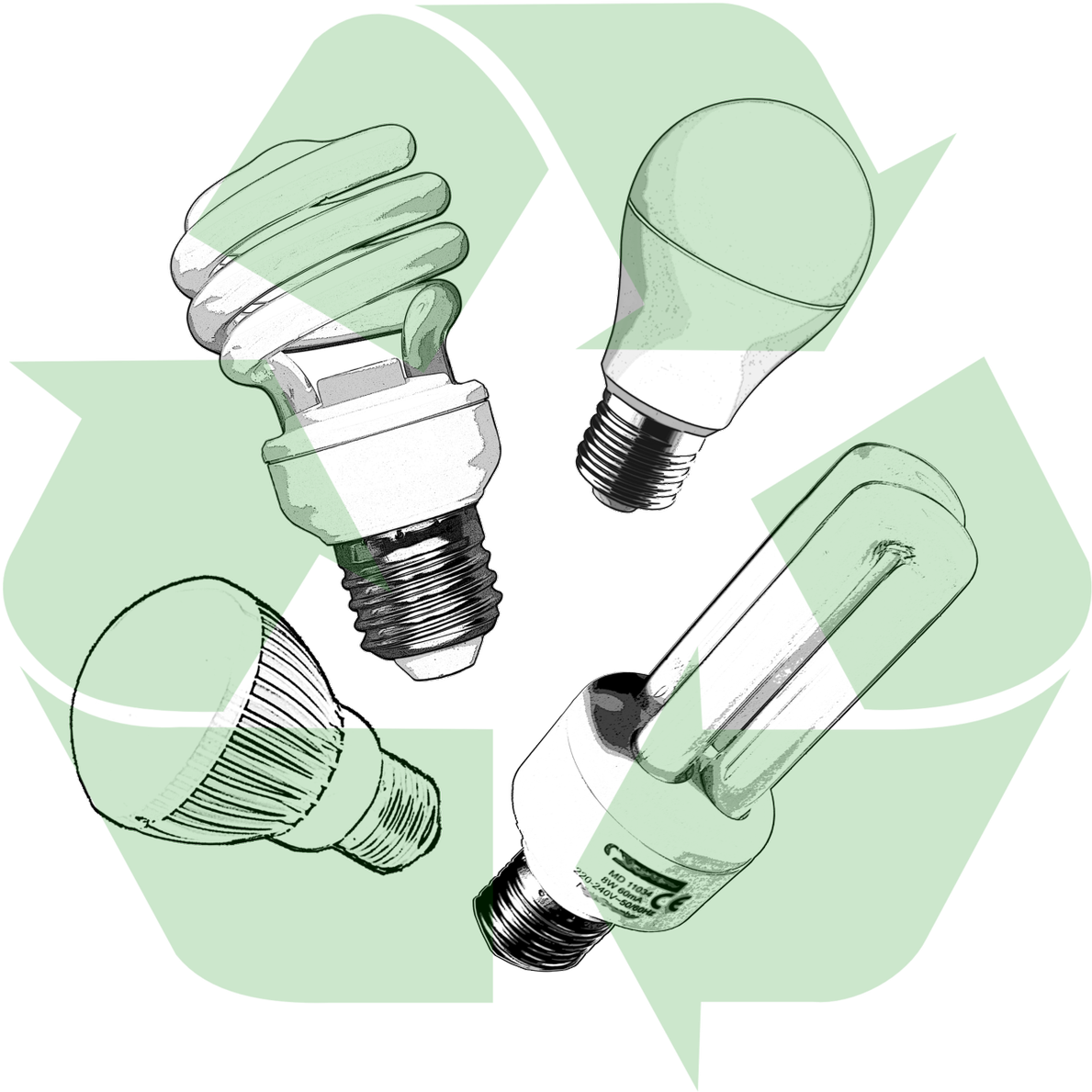 Incandescent Light Bulb Recycling | Shelly Lighting