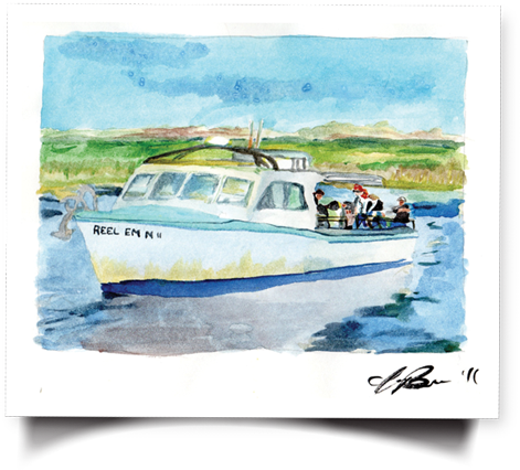 Download Take A Trip On Captain Derek's Dolphin Magic Boat - Picnic ...