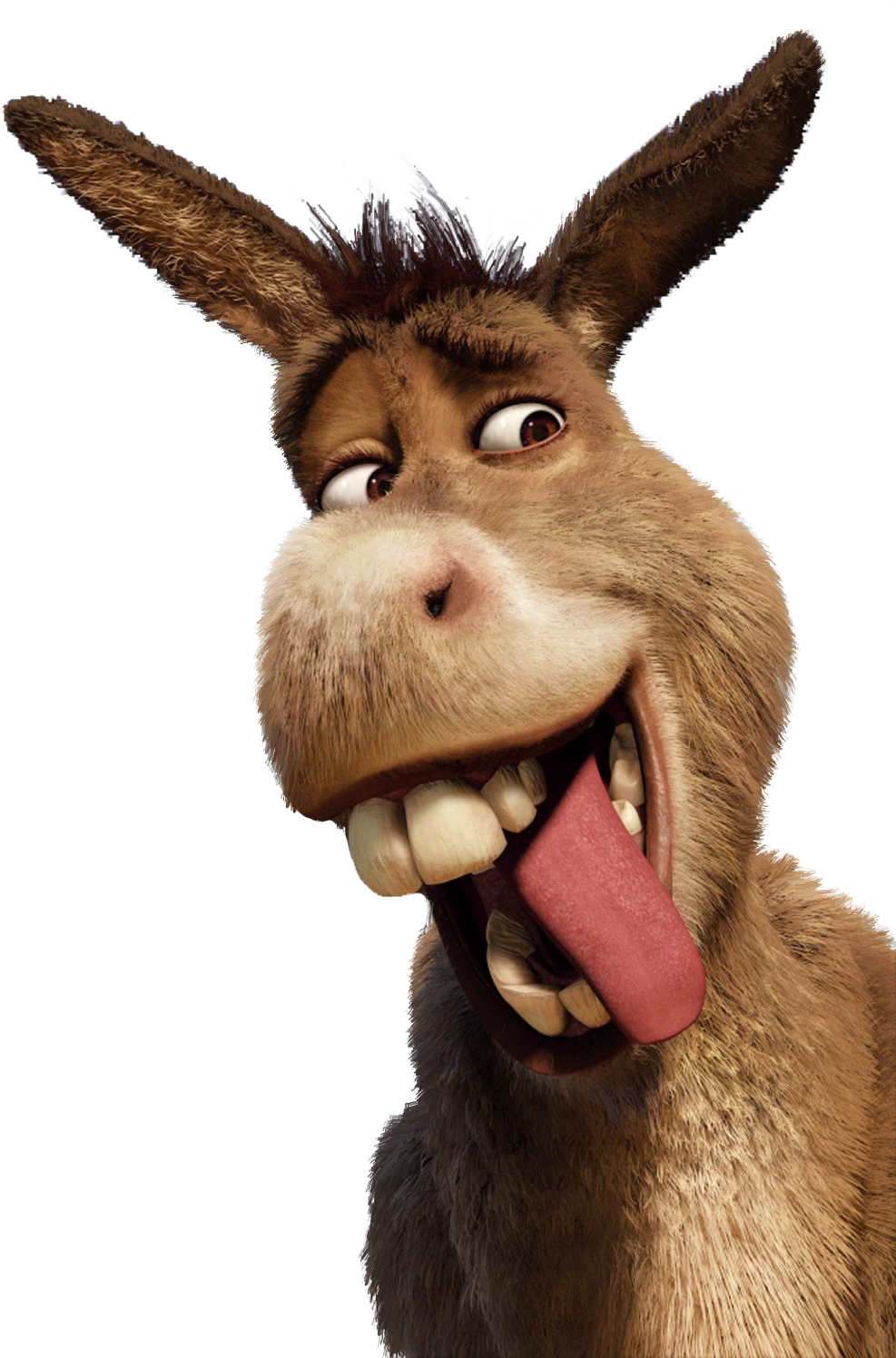 Download HD Donkey Shrek Smile - Shrek Forever After Poster Transparent ...