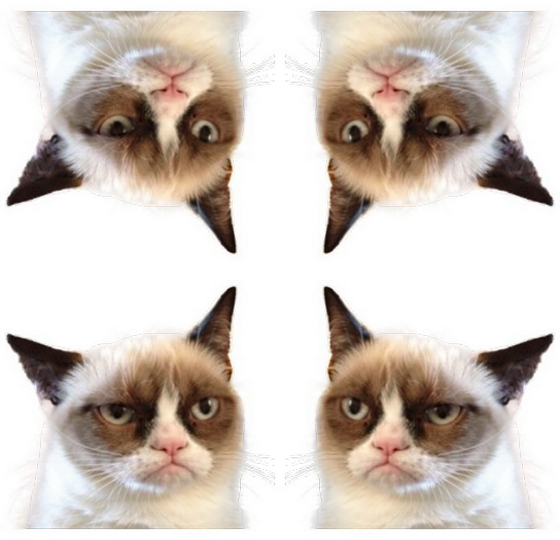 Download Grumpy Cat Postage Stamp - HD Transparent PNG - NicePNG.com
