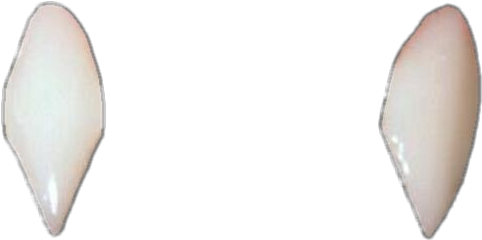 Download Fangs Sticker By Jai - Vampire Teeth Png - HD Transparent PNG ...