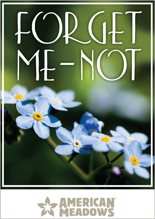 Download HD Feather Reed Grass Png Transparent PNG Image - NicePNG.com