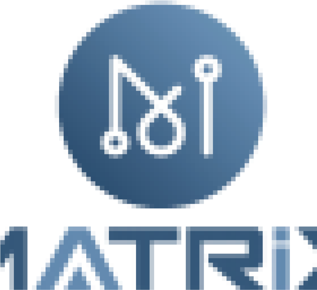 Download HD The Matrix Logo Png Transparent PNG Image - NicePNG.com