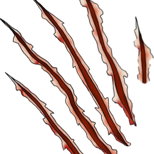 Download Photo - Claw Marks Png - HD Transparent PNG - NicePNG.com