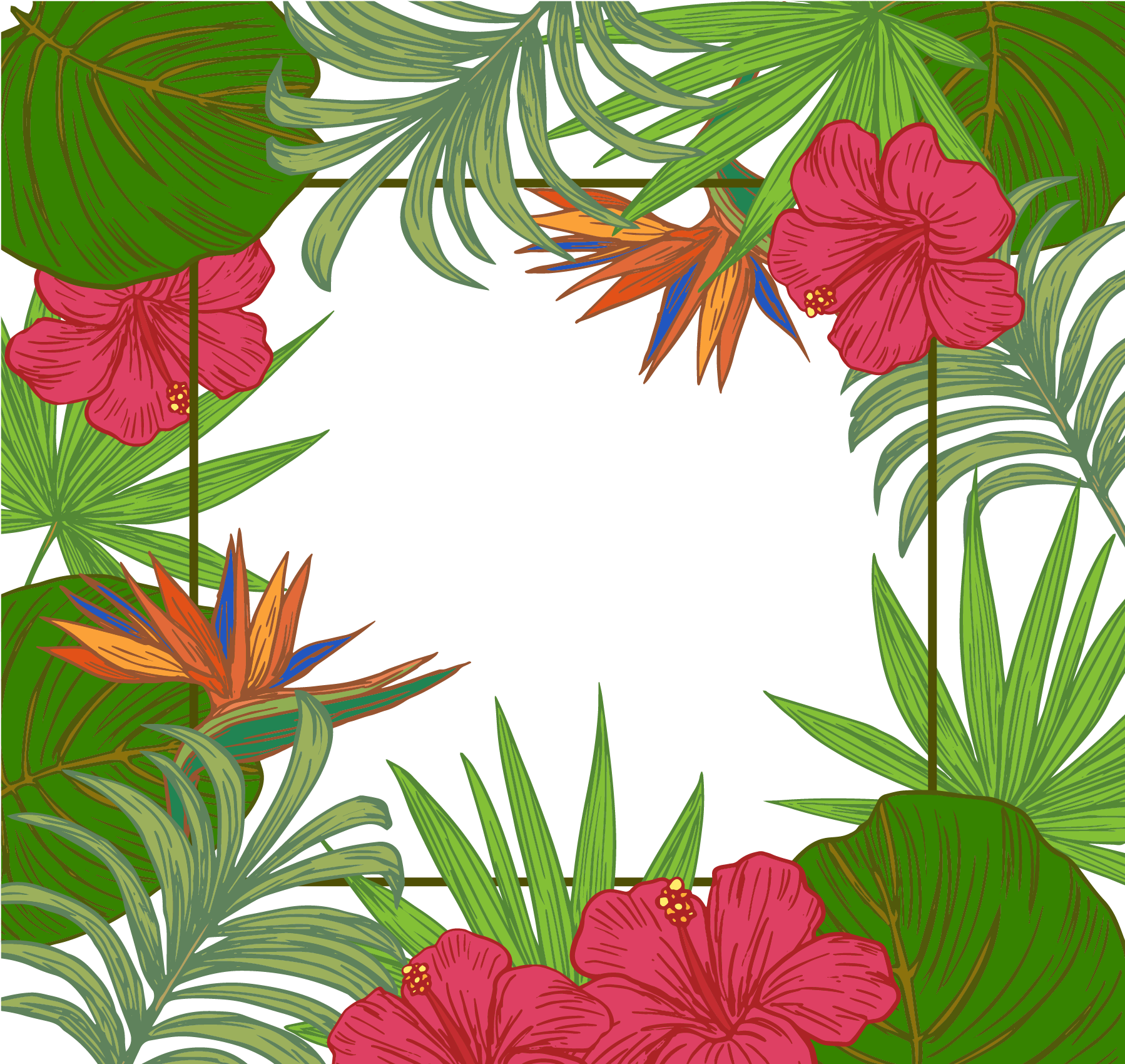 Jungle Border Png