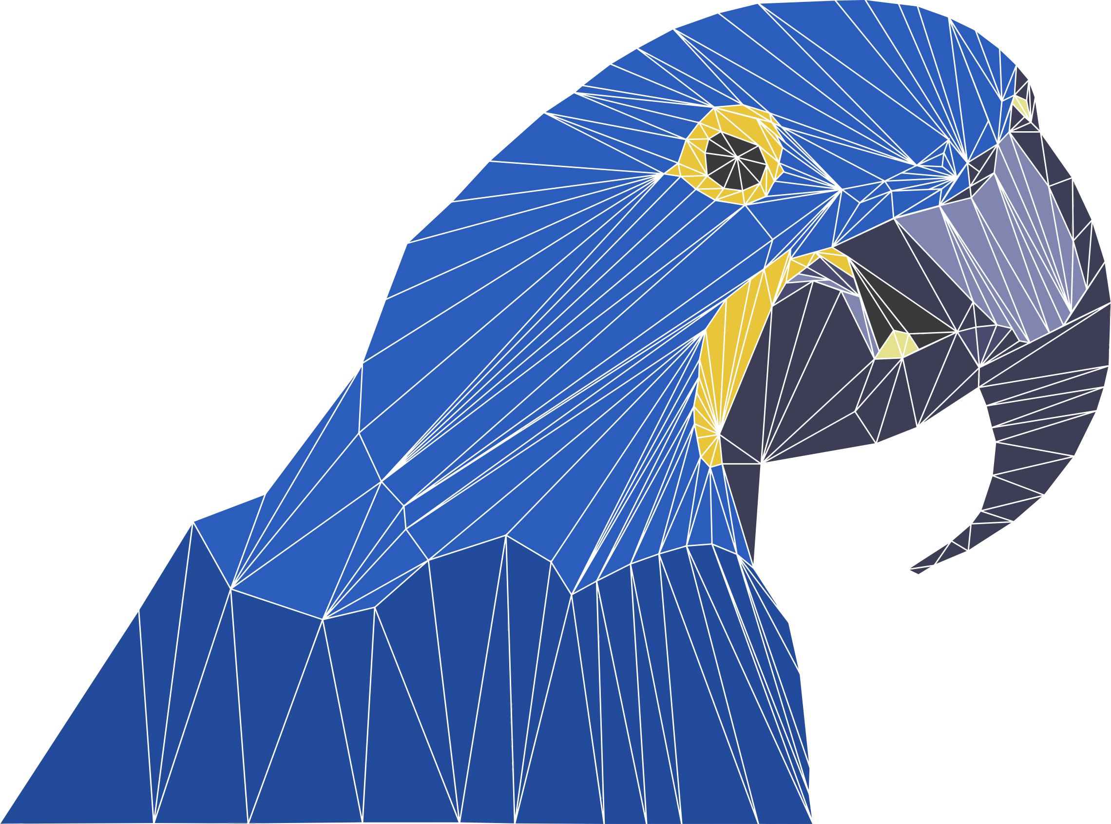 Download HD Big Image - Stock.xchng Transparent PNG Image - NicePNG.com