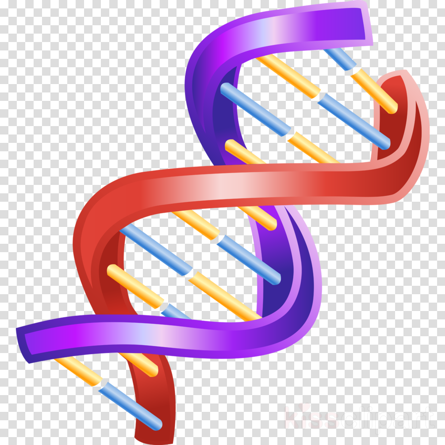 Download Double Helix Dna Clipart The Double Helix - Double Helix Dna ...