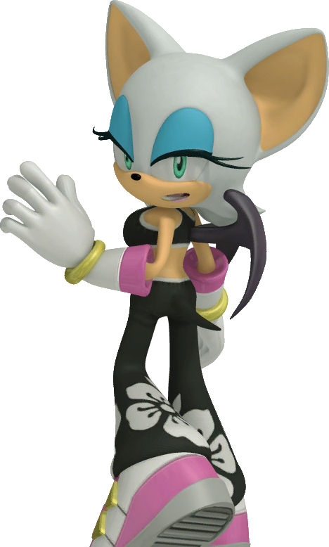 Rouge The Bat Sonic Riders