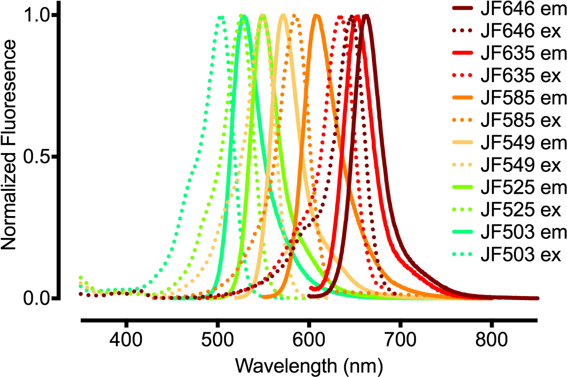 Download HD All Jf Dyes - Janelia Research Campus Transparent PNG Image ...