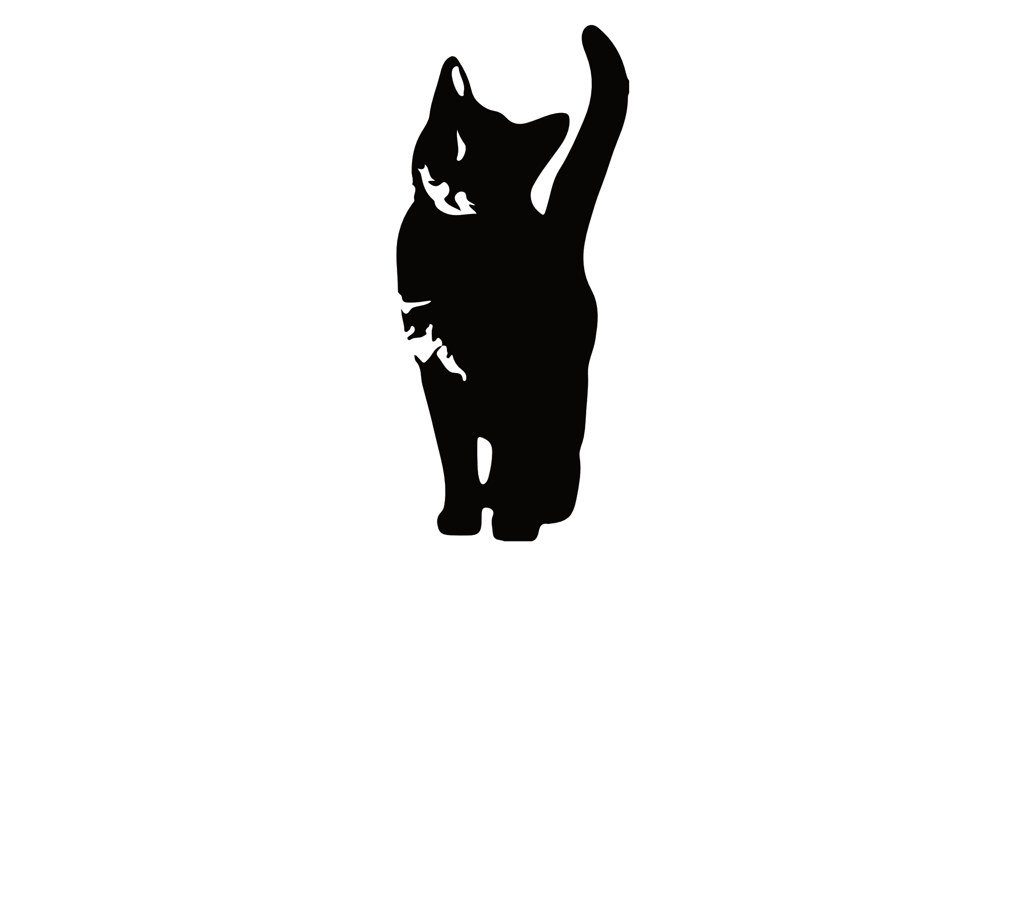 Download HD Curiosity Png Transparent PNG Image - NicePNG.com