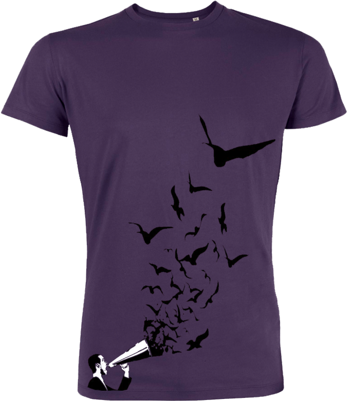 Download HD Birdman Transparent PNG Image - NicePNG.com