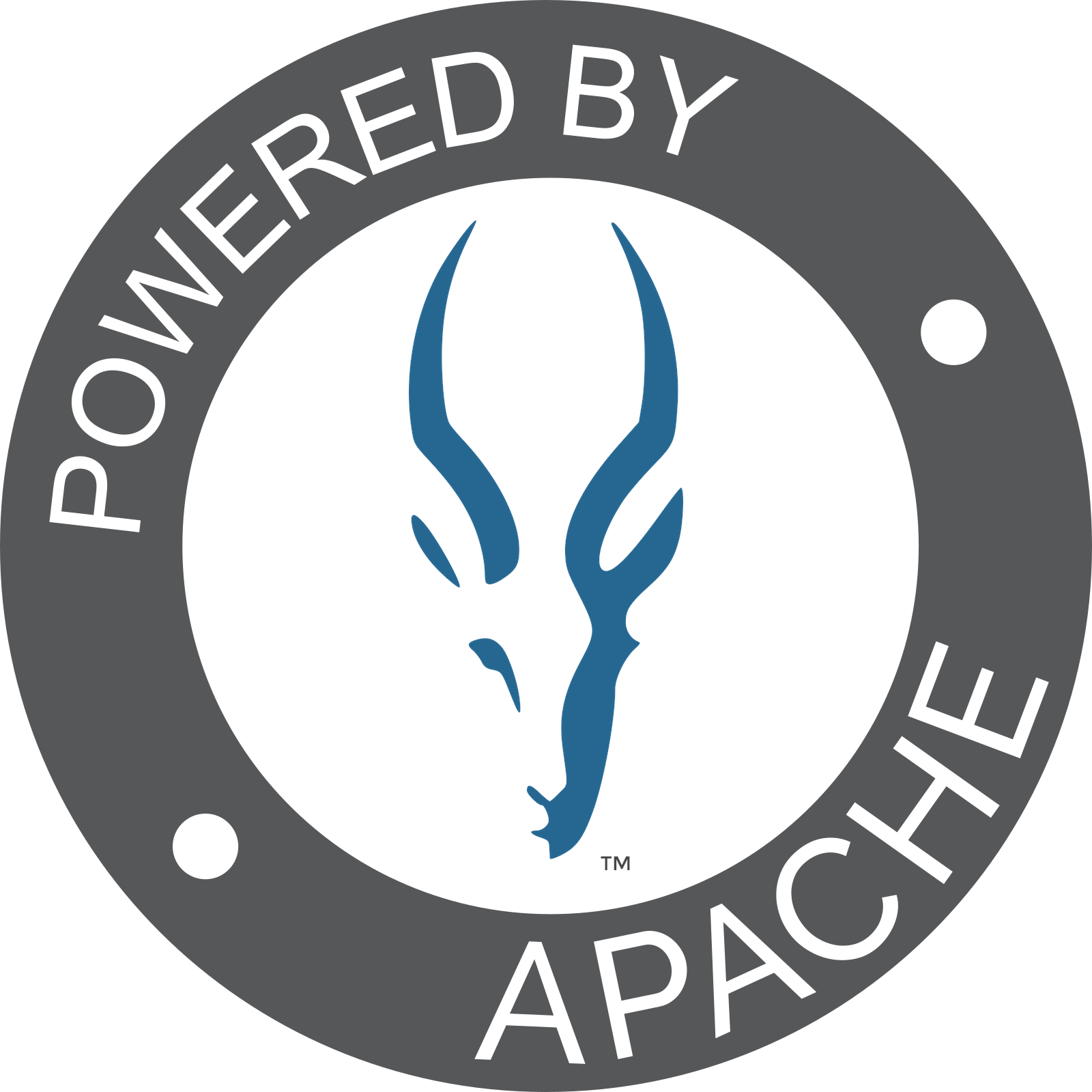 Download HD Impala Transparent PNG Image - NicePNG.com