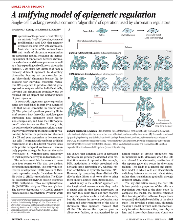 Download HD Boston Scientific Logo Png Transparent PNG Image - NicePNG.com