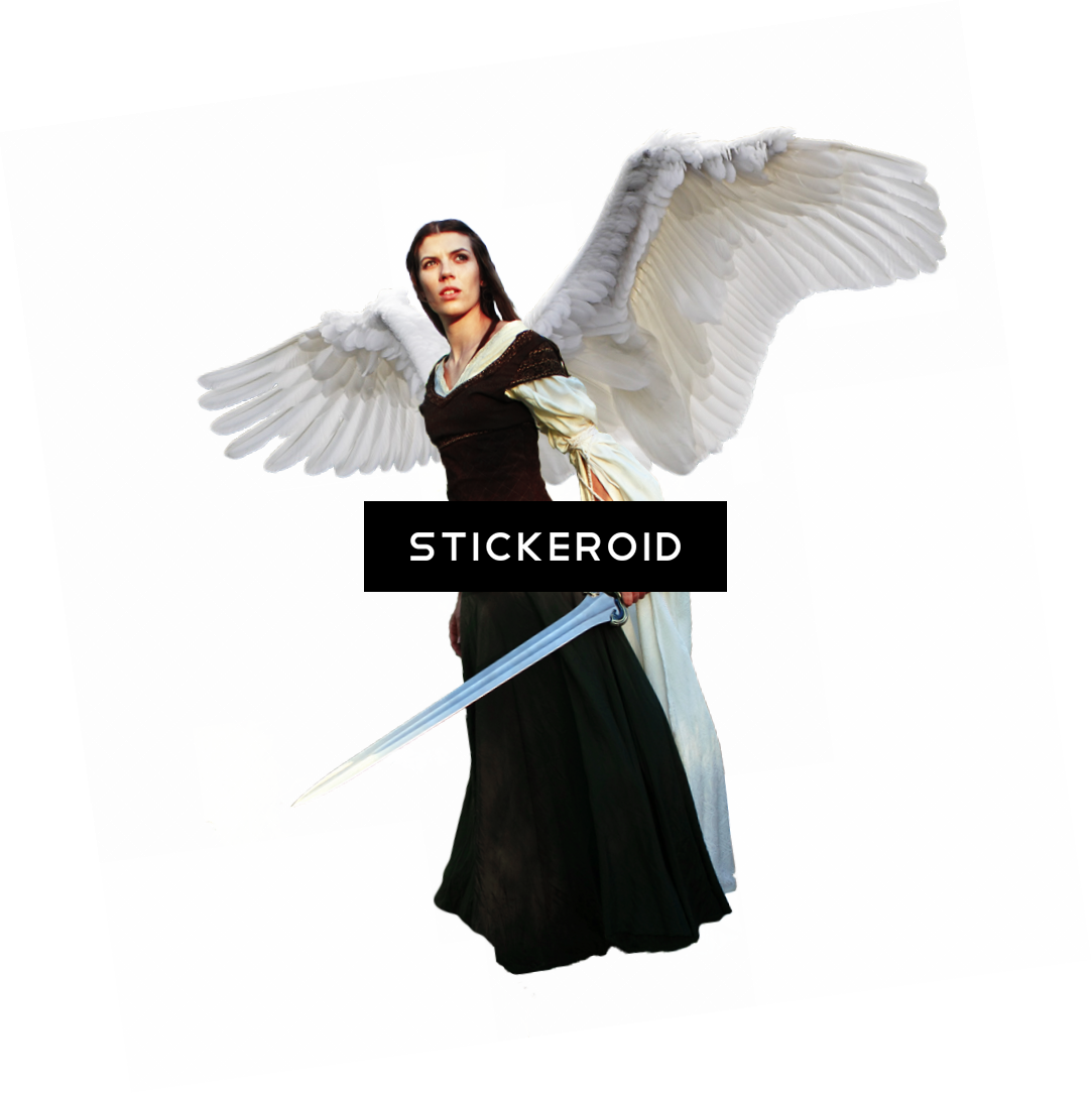 Download HD Angel Warrior Transparent PNG Image - NicePNG.com