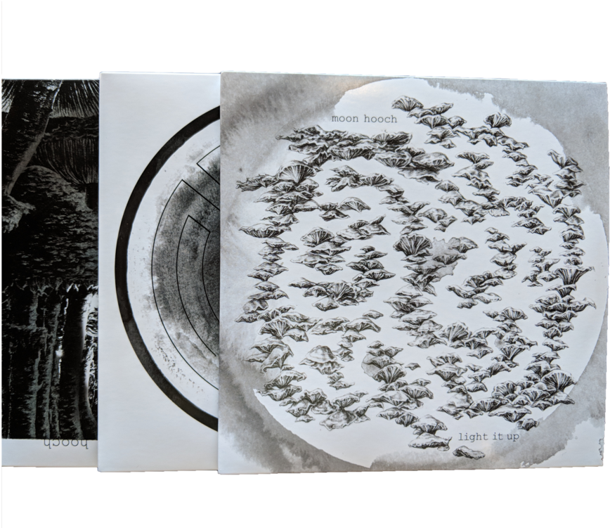 Download HD Snow Filter Png Transparent PNG Image - NicePNG.com