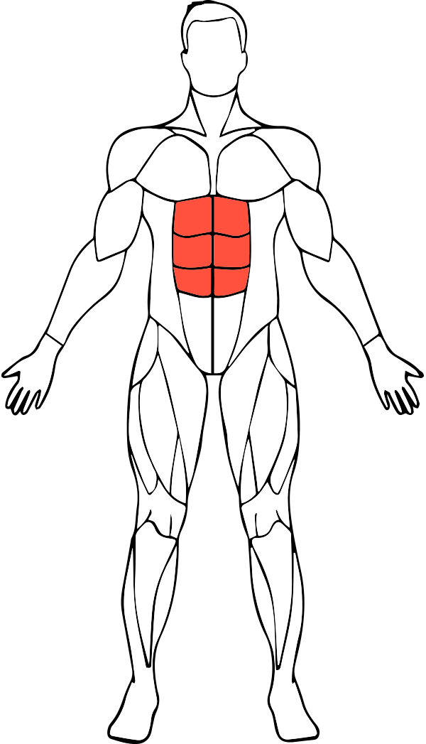 Download HD Abs - Muscle Transparent PNG Image - NicePNG.com