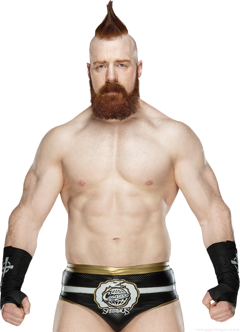 Download HD Sheamus Abs - Wwe Sheamus Render 2018 Transparent PNG Image - NicePNG.com