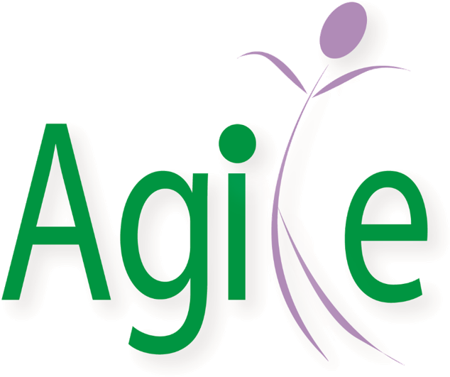 Download Agile Hr Logo Transparent Png - HD Transparent PNG - NicePNG.com