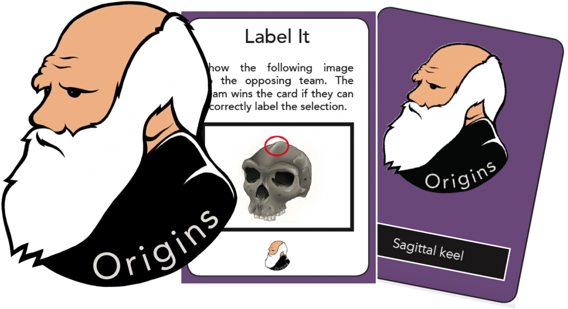 Download 'origins' Card Game Teaches Basics Of Human Evolution - HD ...