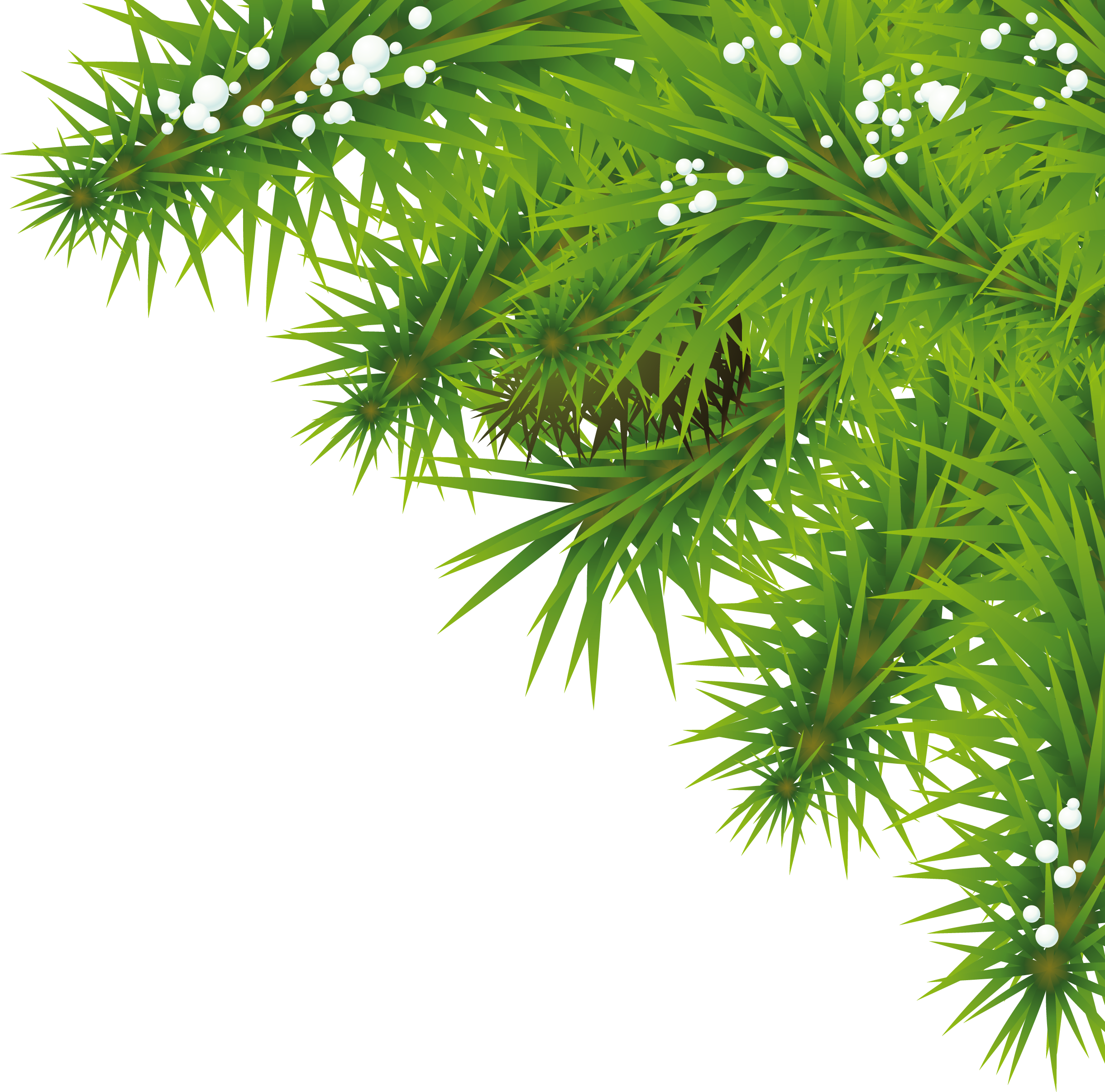 Download HD Fir-tree Png Images, Free Download Picture - Nature Picsart ...