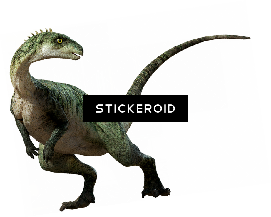 Download Dino Dinosaur - HD Transparent PNG - NicePNG.com