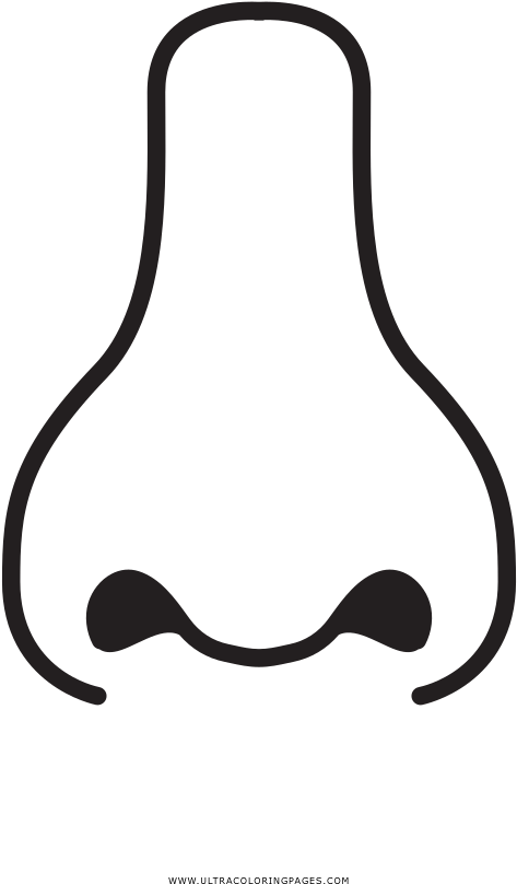 Download HD Nariz Dibujo Png Transparent PNG Image - NicePNG.com