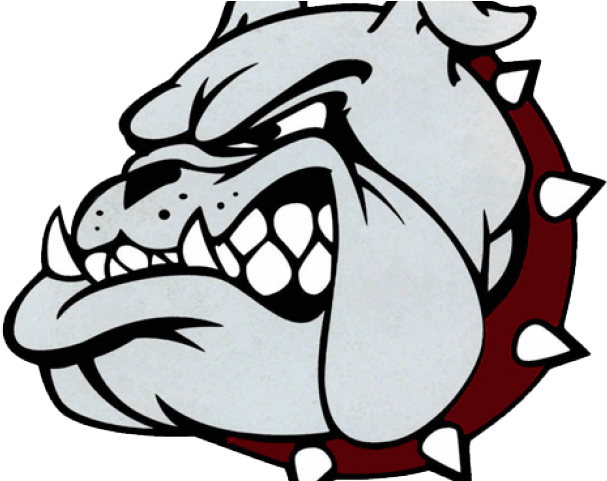 Download HD Boiling Springs High School Mascot Transparent PNG Image ...