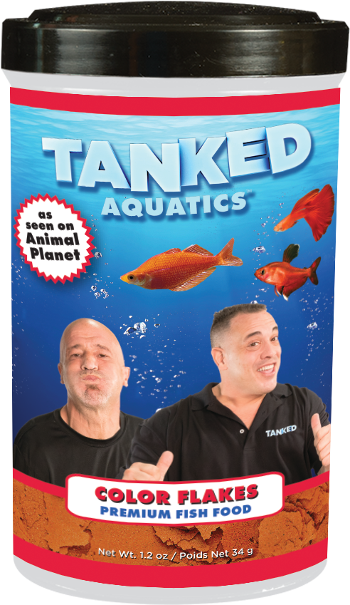 Download HD Prev Transparent PNG Image - NicePNG.com