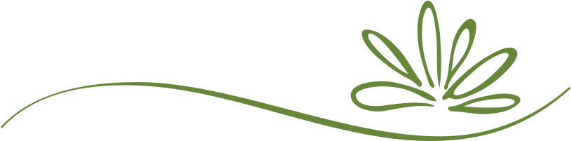 Download HD Green Clipart Divider - Green Divider Png Transparent PNG ...