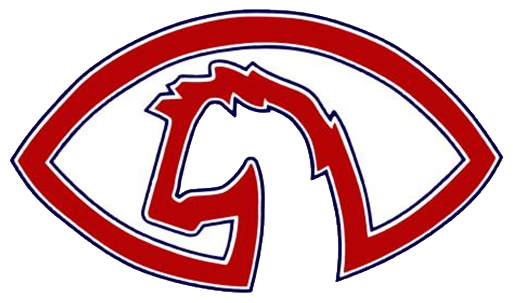 Download HD Calgary Colts 1989 Canadian Bowl Champions Collection ...